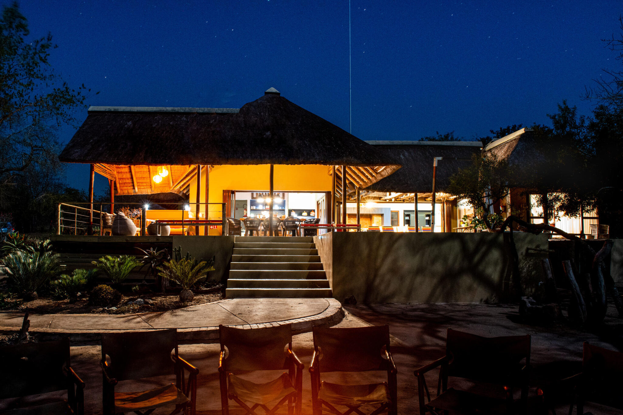 #SafariChat: Interview with Kruger Expert, Cedric Dold